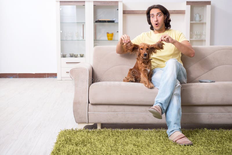 Young Man with Cocker Spaniel Dog Stock Photo - Image of breed, happy ...