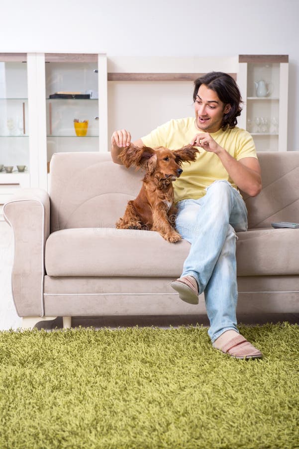 Young Man with Cocker Spaniel Dog Stock Photo - Image of canine ...