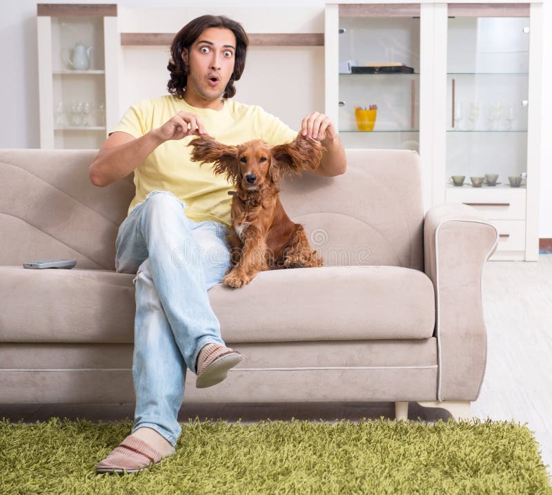Young Man with Cocker Spaniel Dog Stock Image - Image of house, family ...