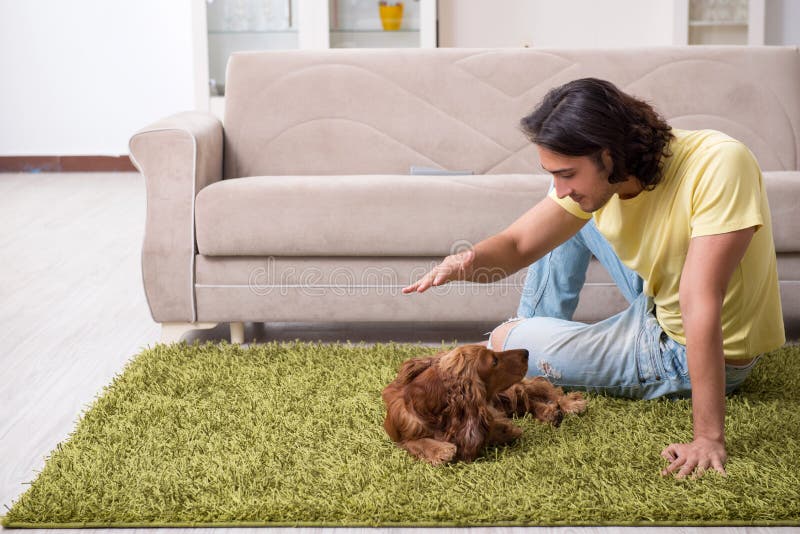 Young Man with Cocker Spaniel Dog Stock Photo - Image of alone ...