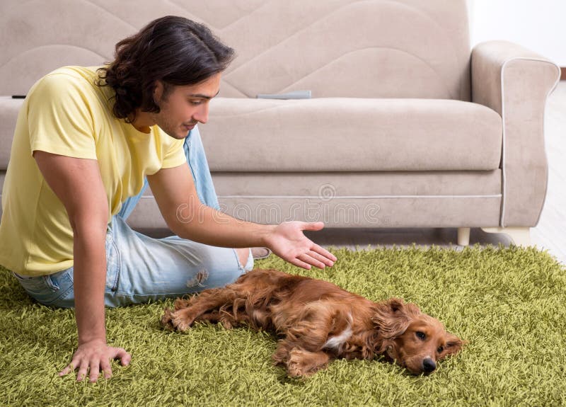 Young Man with Cocker Spaniel Dog Stock Photo - Image of mammal, happy ...