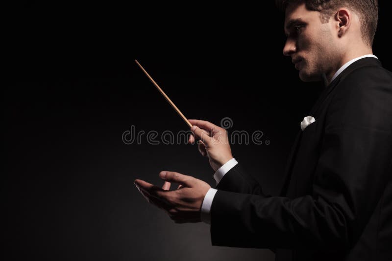 Orchestra Concert Conductor Stock Image - Image of instrument ...
