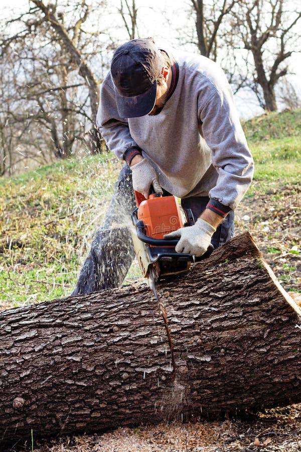 Man Cutting Trees Using an Electrical Chainsaw Stock Image - Image of ...