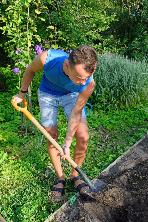 A Young Man Digging a Flower Bed on the Plot Stock Image - Image of ...