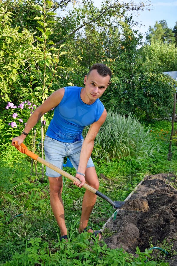 A Young Man Digging on the Plot in the Summer on a Sunny Day Stock ...