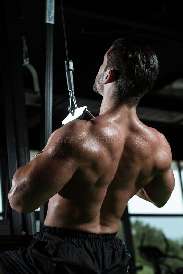 Young Man Doing Heavy Weight Exercise for Back Stock Image - Image of ...