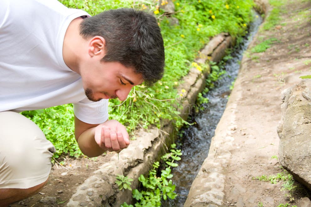 Young Man Drinking Water from a Stream Stock Photo - Image of forest ...