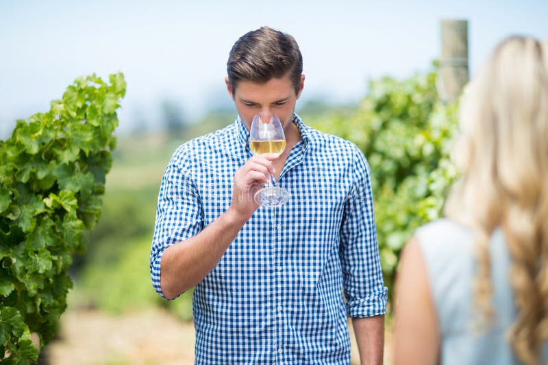 Young Man Drinking White Wine Stock Photo - Image of drink, checked ...