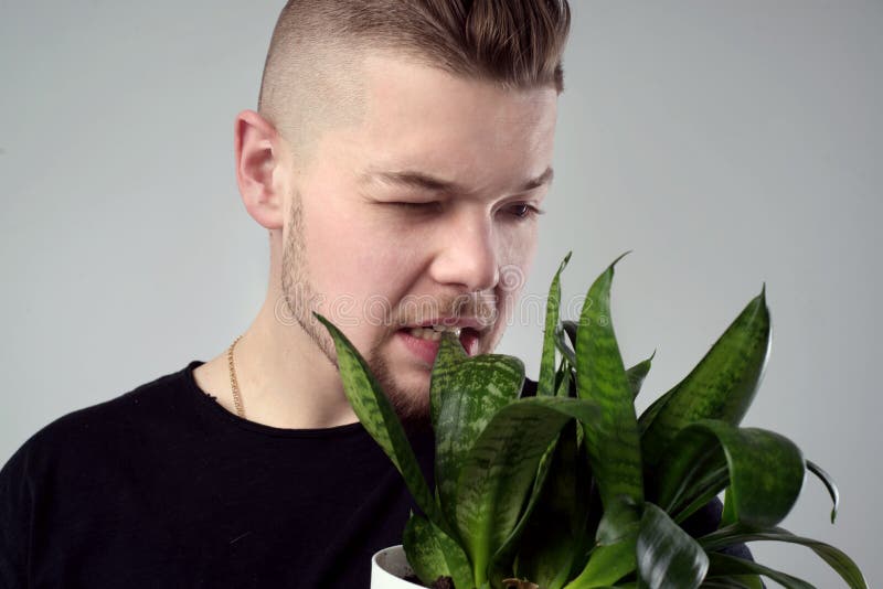 5,620 Man Eating Plant Photos - Free & Royalty-Free Stock Photos from ...