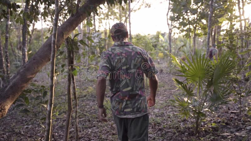 A Young Man is Exploring a Jungle during the Sunset Stock Footage ...