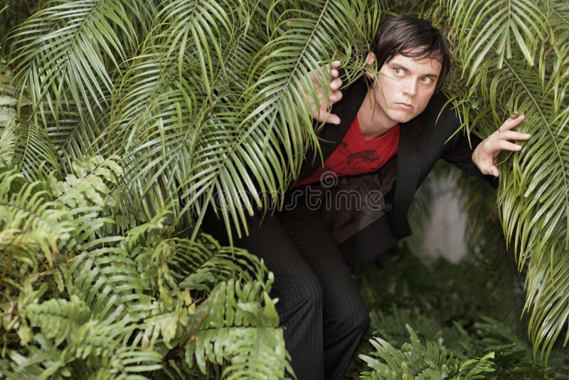 Young man exploring nature stock photo. Image of exploring - 15791374