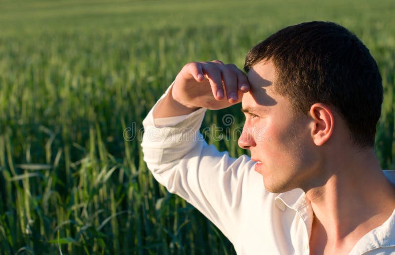 Young man in field stock photo. Image of search, sunny - 19857502