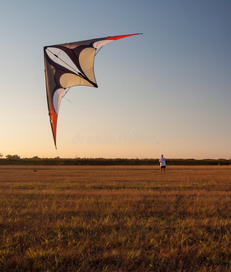 Young Man Flying a Kite on Sunny Summer Day Stock Image - Image of ...