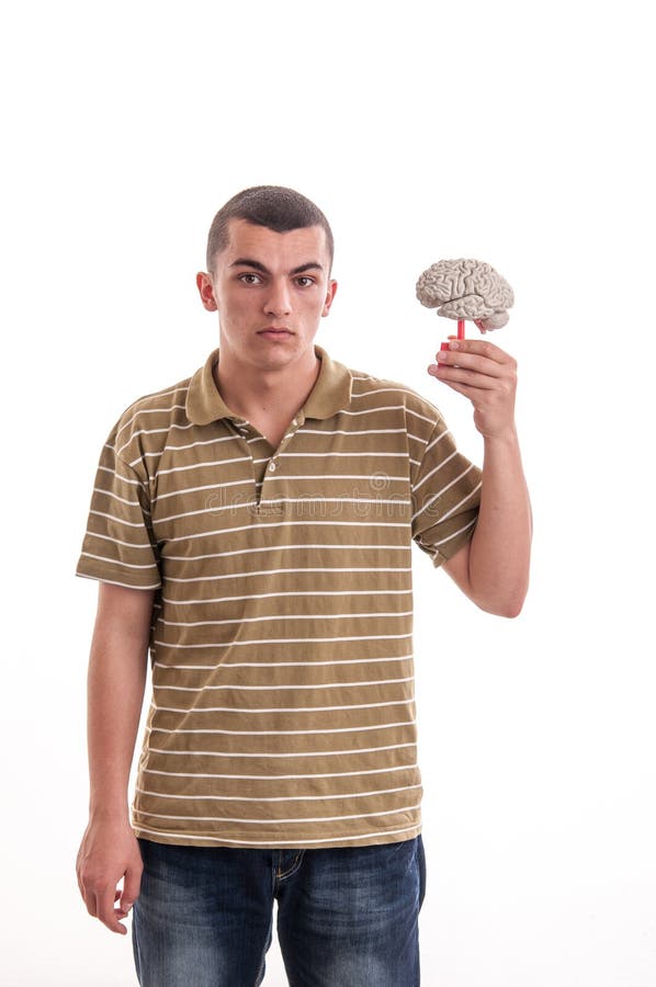 Young Man Holding a Human Brain Model Stock Image - Image of medical ...