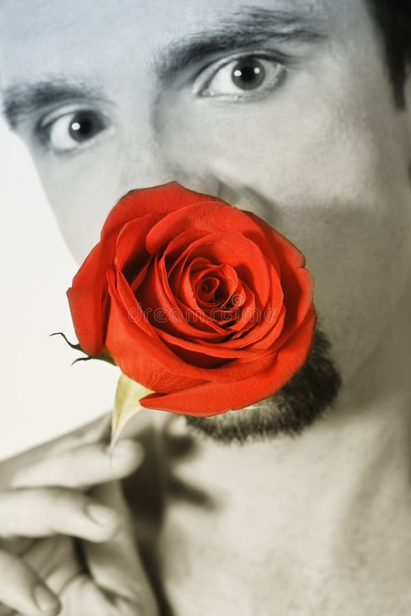 Young Man Holding a Red Rose Stock Photo - Image of vertical, flirting ...