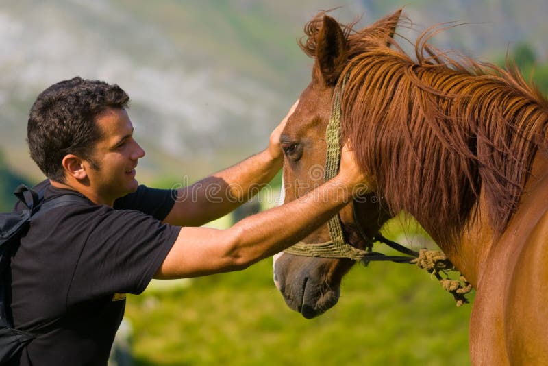 Young Man and Horse stock photo. Image of animal, give - 6646650