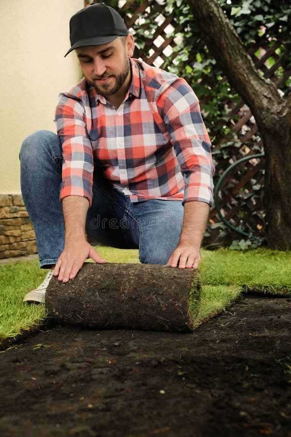 Young Man Laying Grass Sod on Ground at Backyard Stock Image - Image of ...