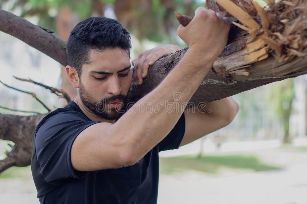 Young Man Lifting a Tree Trunk in a Forest. Lumberjack Cutting a Tree ...