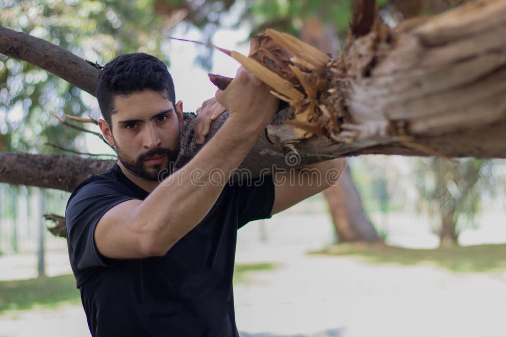 Young Man Lifting a Tree Trunk in a Forest. Lumberjack Cutting a Tree ...