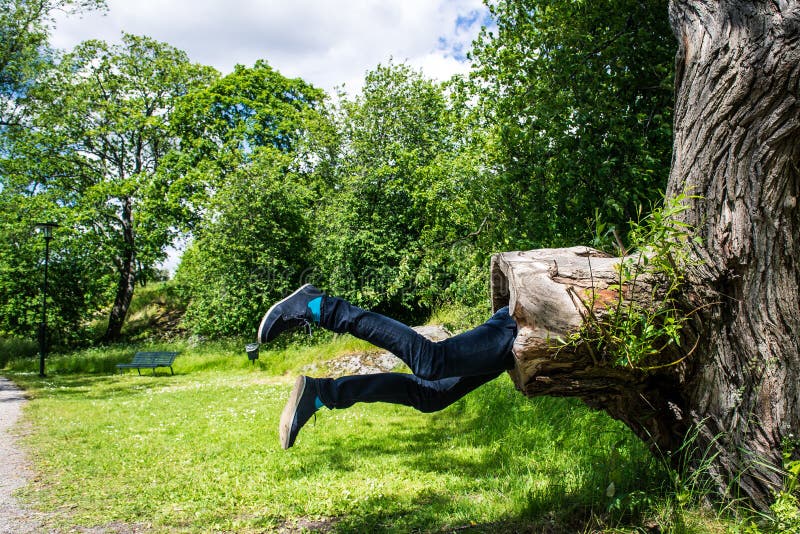 Young Man Looks Like he is Being Eaten by a Big Tree in the Park Stock ...