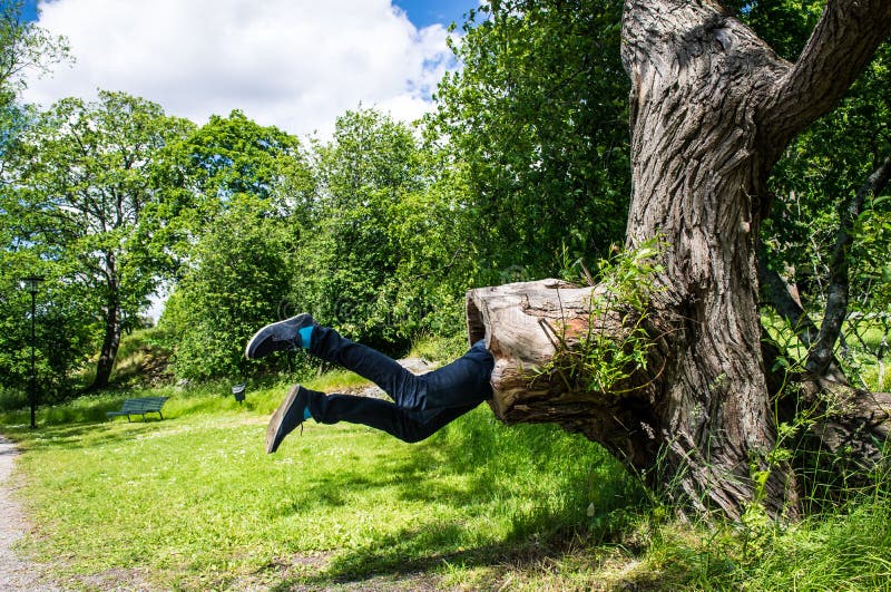 Young Man Looks Like he is Being Eaten by a Big Tree in the Park Stock ...