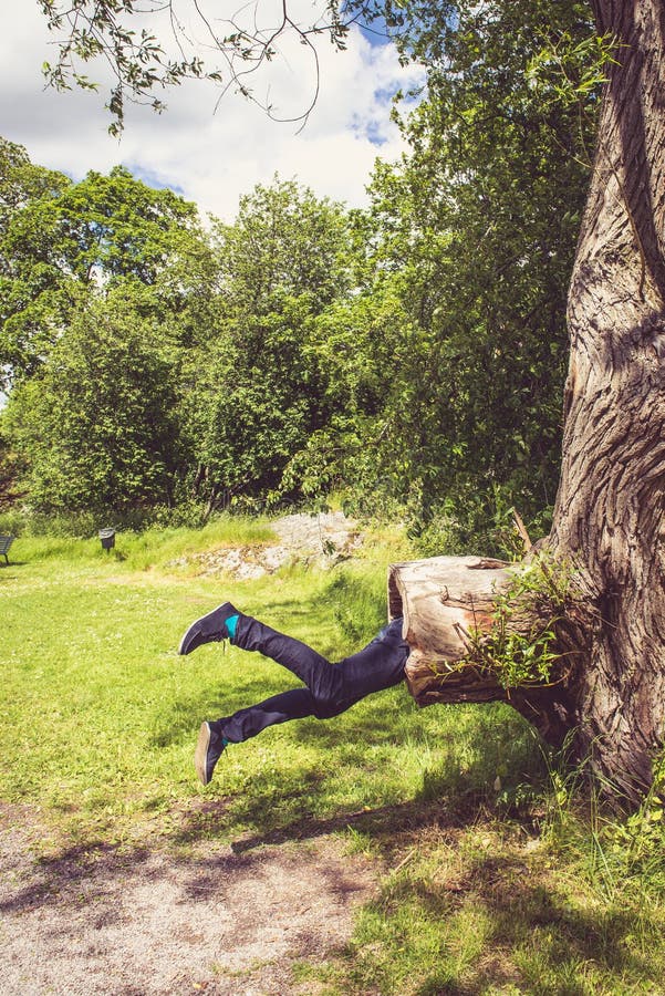 Young Man Looks Like he is Being Eaten by a Big Tree in the Park Stock ...