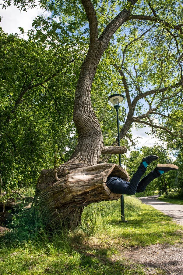 Young Man Looks Like he is Being Eaten by a Big Tree in the Park Stock ...