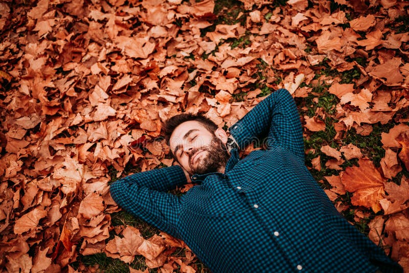 Young Man Lying Down on Autumn Leaves Stock Photo - Image of cheerful ...