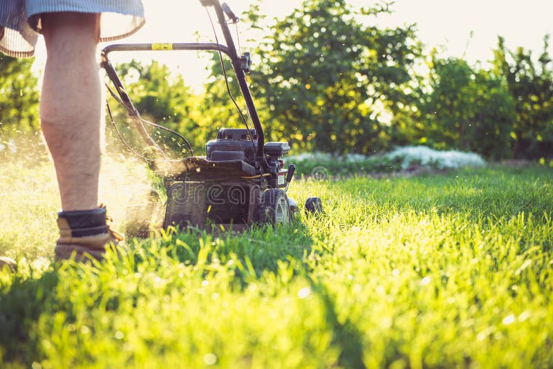 Young man mowing the grass stock photo. Image of cutting - 55743736