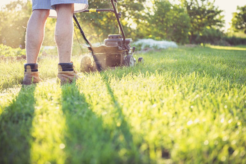 Young man mowing the grass stock photo. Image of people - 55743858