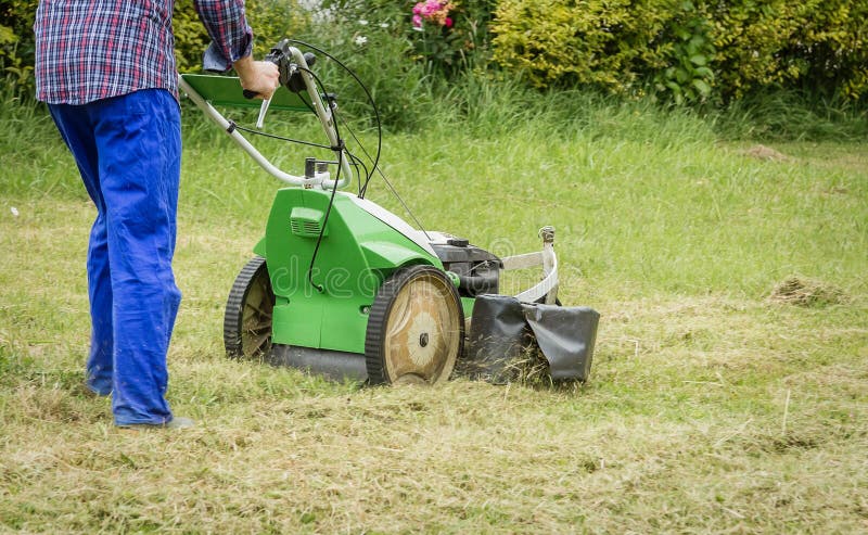 Young Man Mowing The Lawn With A Lawnmower Stock Image - Image of plant ...