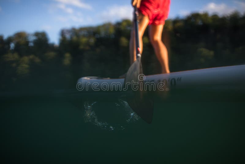 Young Man on a Paddle Board Stock Image - Image of paddleboard, holding ...
