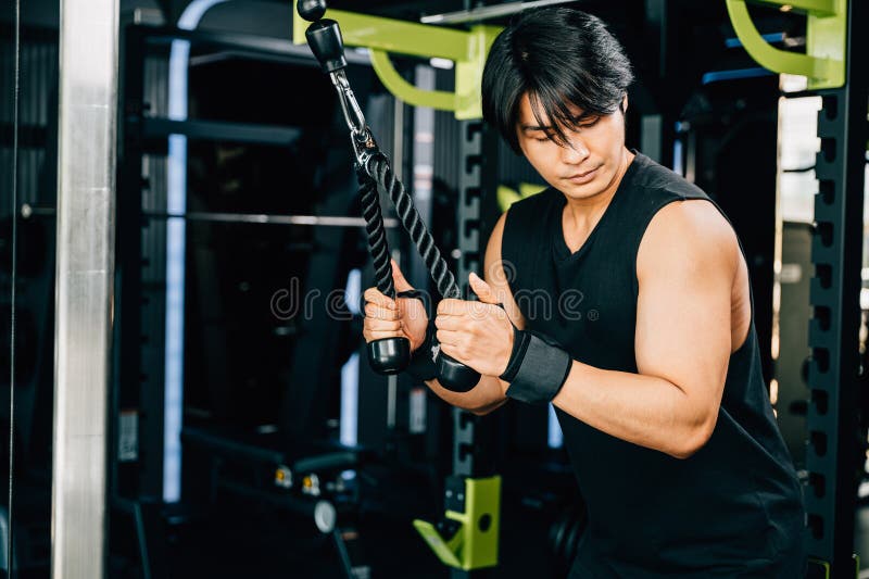 Young Man Performing Cable Triceps Pulldowns To Build Muscle and ...