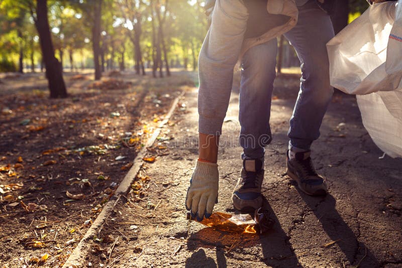 Young man picking up trash stock photo. Image of manual - 60604578
