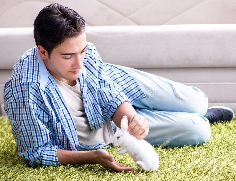Young Man Playing with Pet Rabbit at Home Stock Image - Image of baby ...