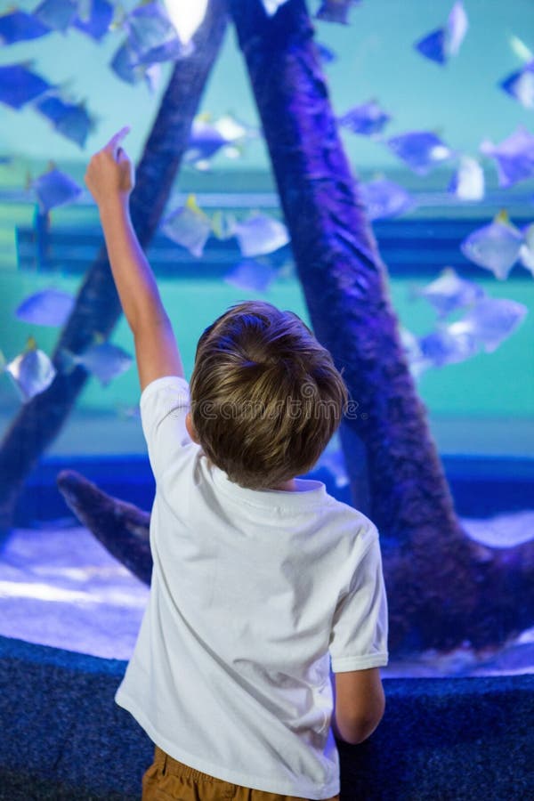 Young Man Pointing a Fish with His Finger Stock Image - Image of light ...