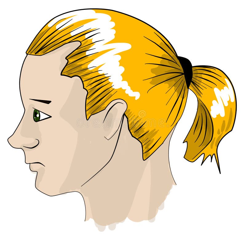 Hair Ponytail Cartoon Man Power: Denji, You Like Braided Ponytail