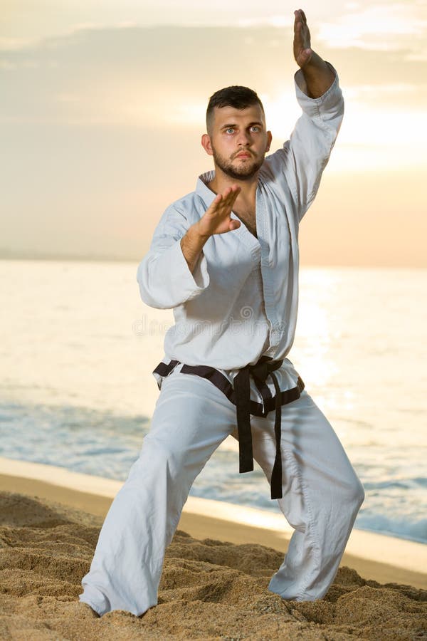 Young Man Practising Karate Kata Poses Stock Image - Image of active ...