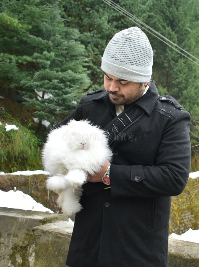 Manali Rabbit Stock Photos - Free & Royalty-Free Stock Photos from ...