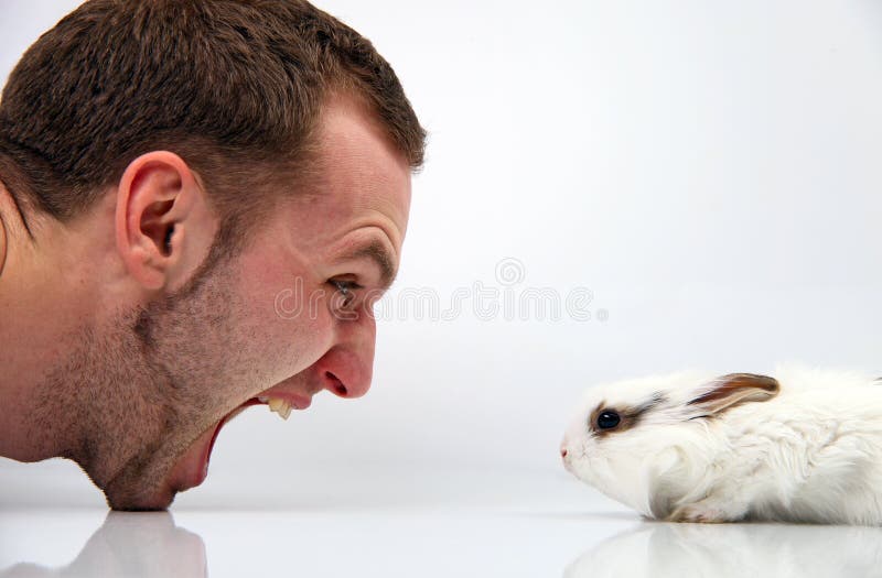 Young Man and a Rabbit on White Background Stock Image - Image of head ...