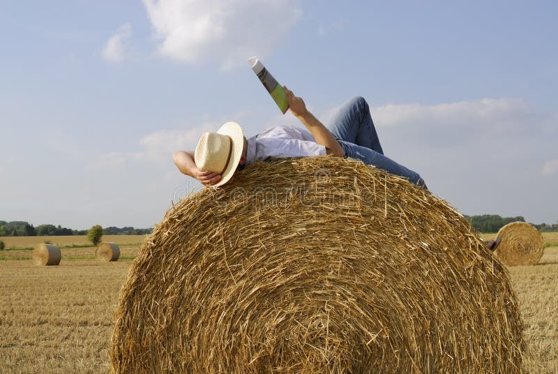 Young Man Reading on a Straw Bale Stock Image - Image of reading ...
