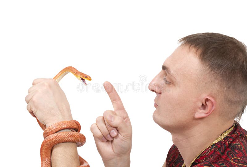 Young Man with Red Texas Rat Snake Stock Image - Image of danger, dress ...