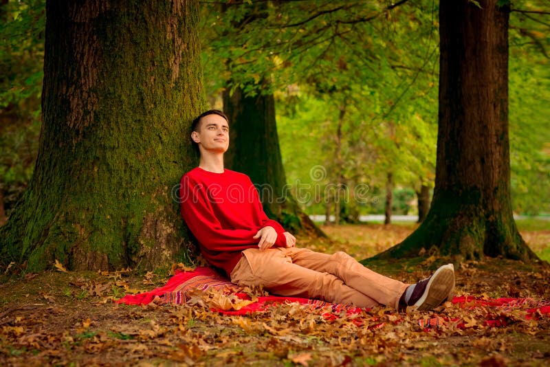 Young Man Resting Under an Autumn Tree in the Park Stock Photo - Image ...