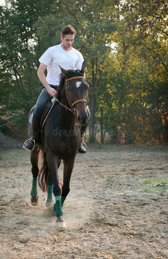 Young man riding Horse stock photo. Image of friendship - 27313526
