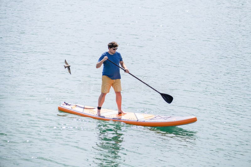 Young Man Rowing Sup Board after Water Surf Session Stock Photo - Image ...
