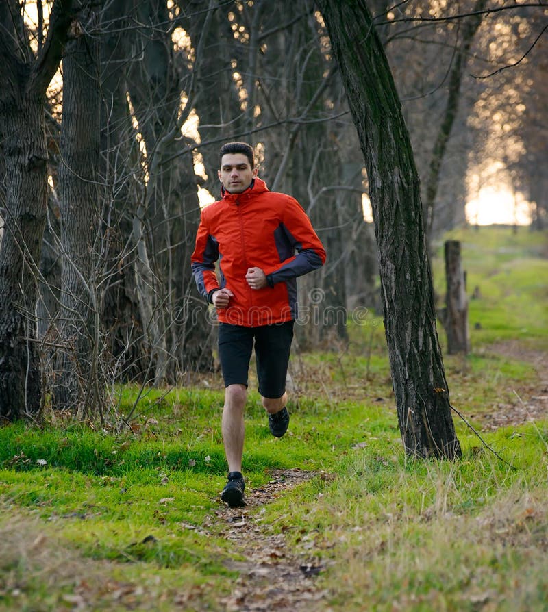 Young Man Running on the Trail in the Wild Forest Stock Image - Image ...