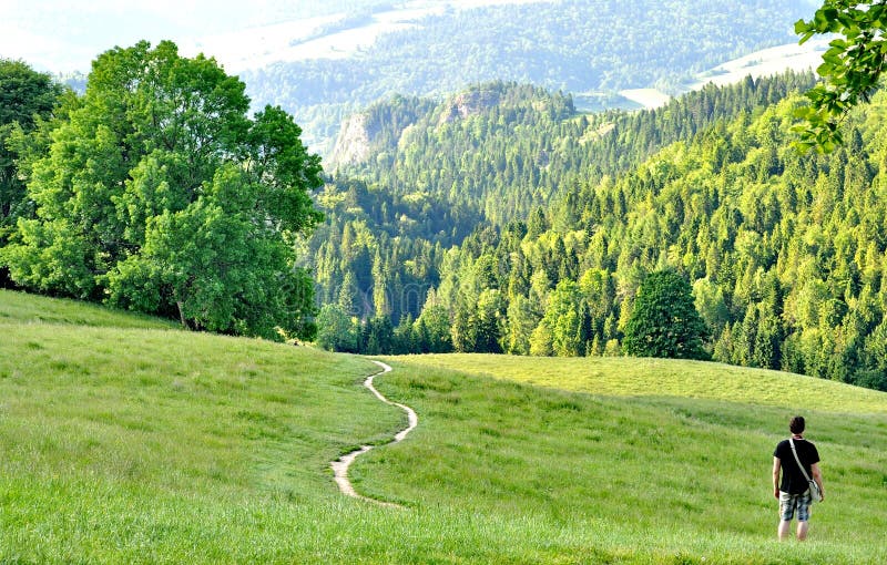 Young Man Searching for the Path Editorial Stock Photo - Image of ...