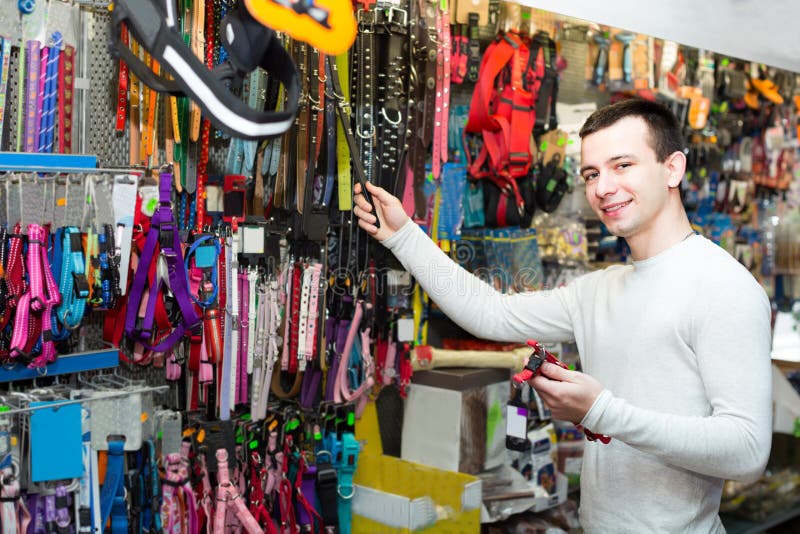 Young Man Selecting Collars and Leads Stock Photo - Image of lead ...