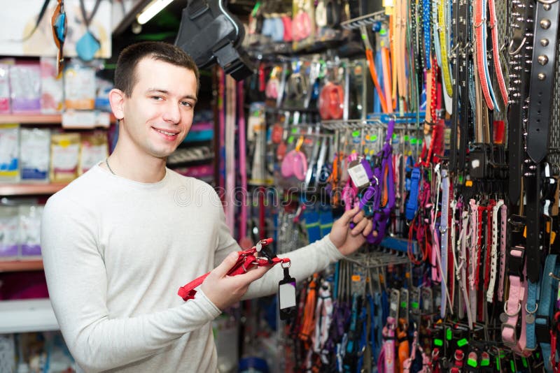 Young Man Selecting Collars and Leads Stock Image - Image of extending ...