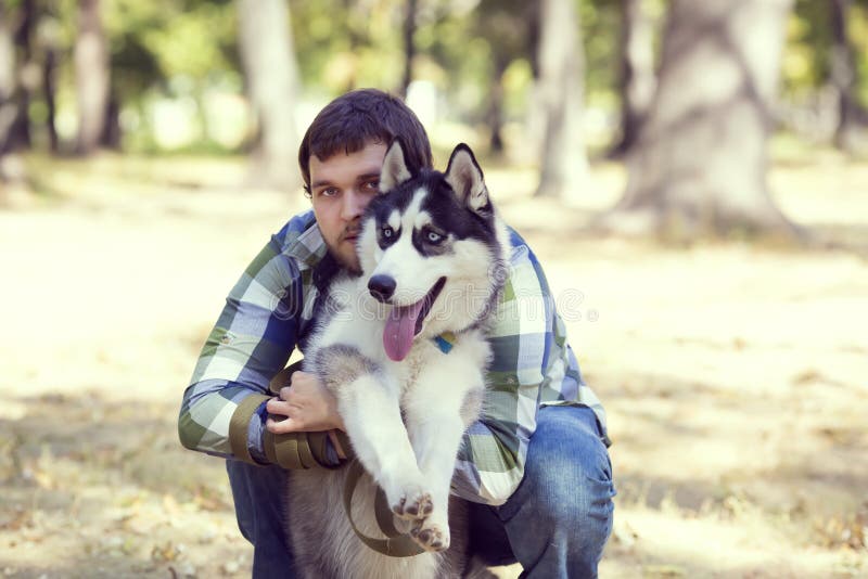Young Man and the Siberian Husk Stock Photo - Image of lovely, black ...